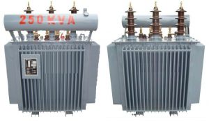 Transformadores sumergidos en aceite dieléctrico.